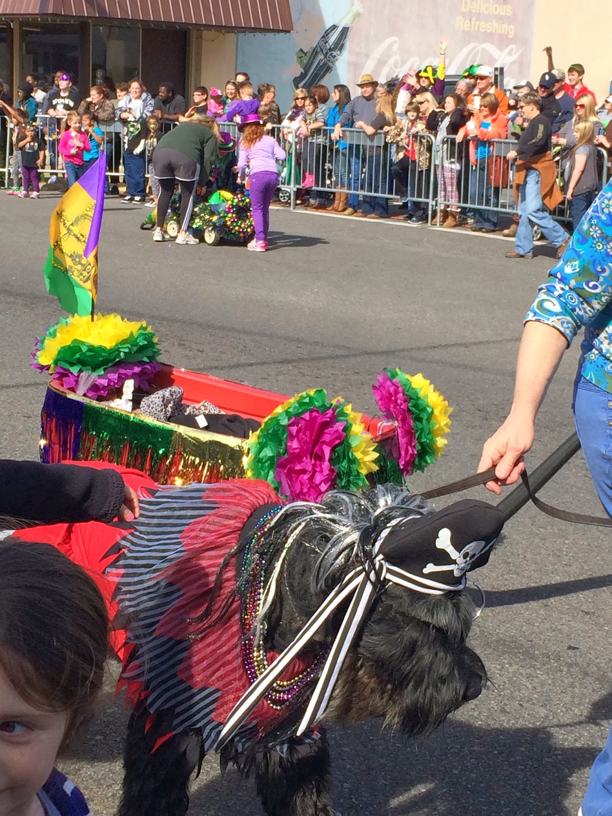 Mojoy: The Mardi Gras Pet Parade.